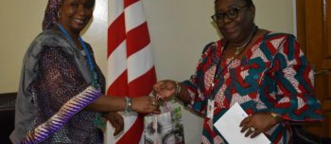 New UNHCR Representative, Madam Fatima Mohammed, Presents Letter of Accreditation to Foreign ...